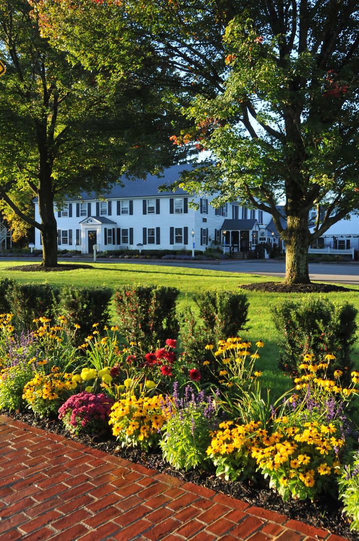 Continuing Education | Securos Surgical